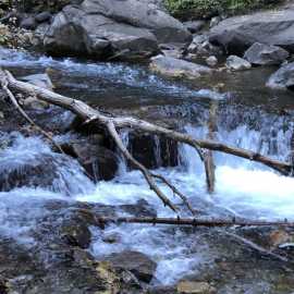 Wasatch Mountain State Park
