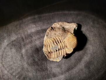 The State Museum of Pennsylvania