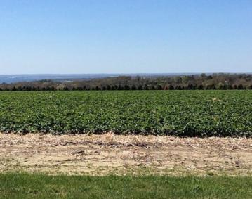 Quonset View Farm | Portsmouth, RI | Discover Newport