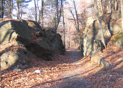 Location Spotlight: Westchester County Parks