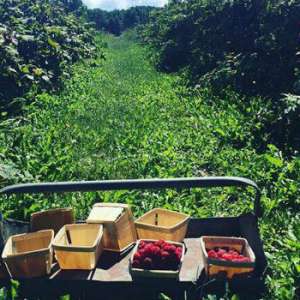 Northwest Indiana Events | Find Festivals, Concerts & Exhibits