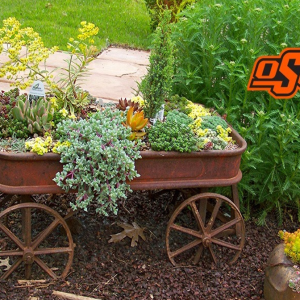 The Botanic Garden at OSU | Visit Stillwater