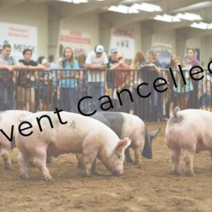 OSU Animal Science Totusek Arena | Visit Stillwater