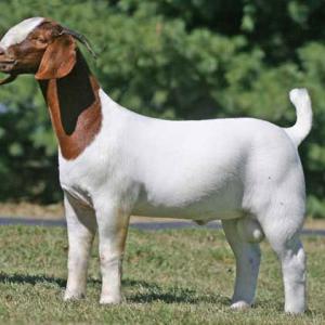 Payne County Expo Center | Visit Stillwater