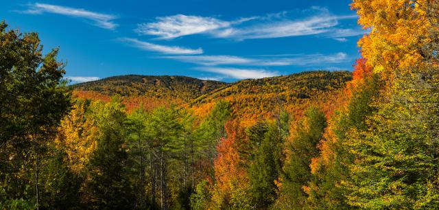 New York Fall Foliage Report | Experience Peak Fall Colors in NY