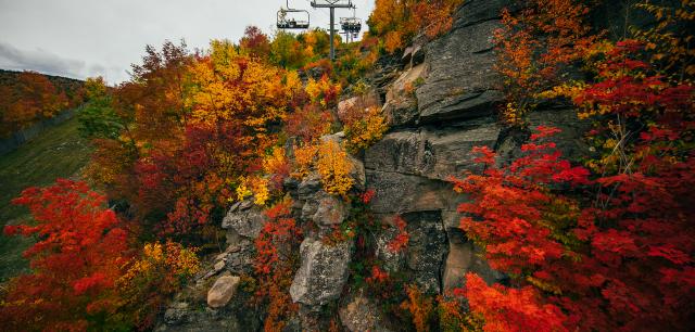 New York Fall Foliage Report | Experience Peak Fall Colors in NY
