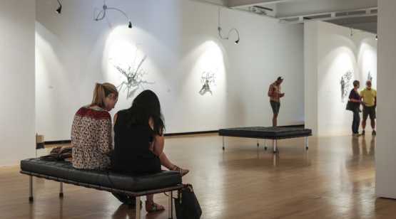 Hyde Collection, Art Museum and Historic House