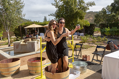 2022 Harvest Grape Stomping and Hands-on Tours | The Visit Napa Valley Blog