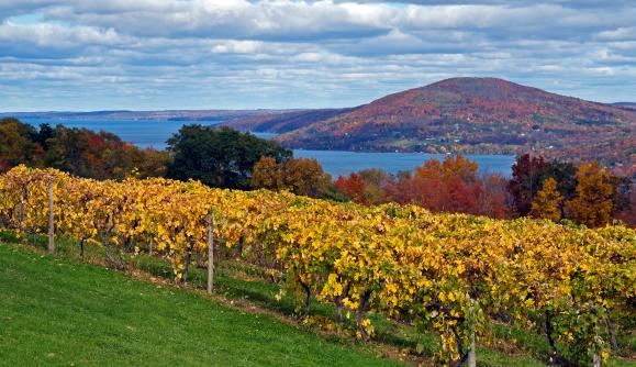 Canandaigua Lake Wine Trail? - PostureInfoHub