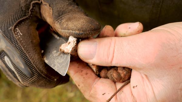 Food & Crops by Season | Eugene, Cascades & Oregon Coast