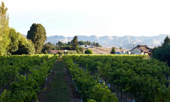 Claiborne & Churchill Winery | San Luis Obispo, CA 93401