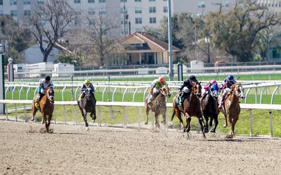 Visit New Orleans | Official New Orleans Tourism Website