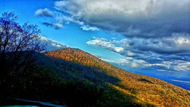 Fall Foliage | Virginia's Blue Ridge Mountains Photo Gallery