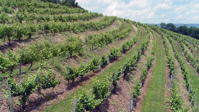 Fall in Lehigh Valley, PA | Fall Flavors, Colors & Corn Mazes