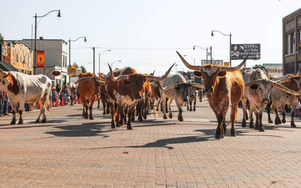 Events, Festivals, & Shows Happening this Month in Oklahoma City