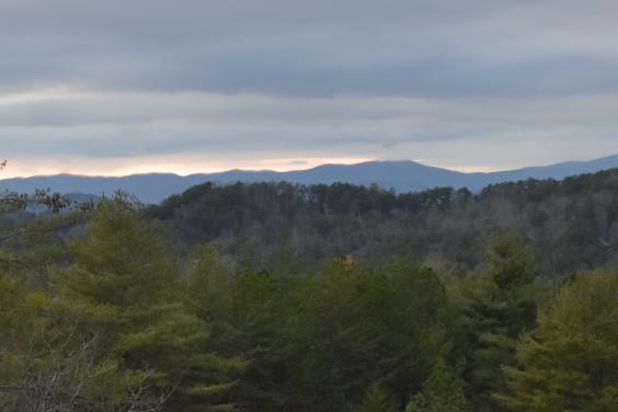 Bethany Helton Wedding Photography | Panama City, FL 32404