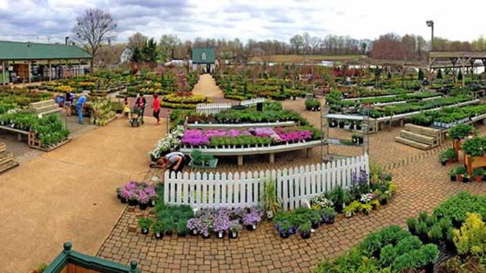 Homestead Gardens Severna Park Santa Monica | Fasci Garden