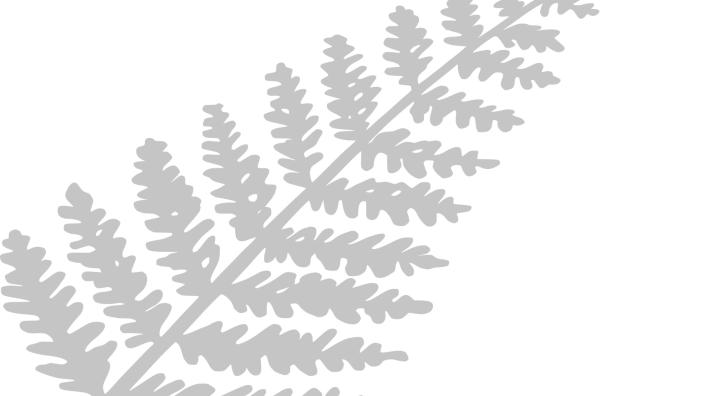 Silver Fern Gallery | Official Queenstown Website