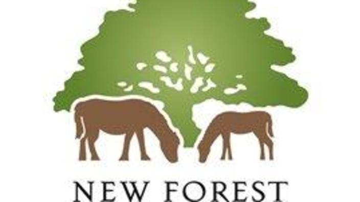 New Forest National Park Visit The New Forest | National Park