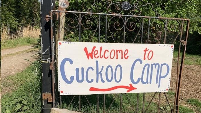 camp cuckoo