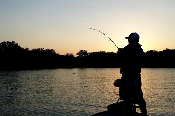 Visit Bastrop State Park | Enjoy the Pool, Lake & Hiking Trail