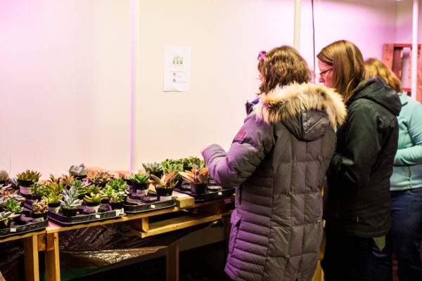 Top 11 Things to Do in Eau Claire This Spring | Visit Eau Claire