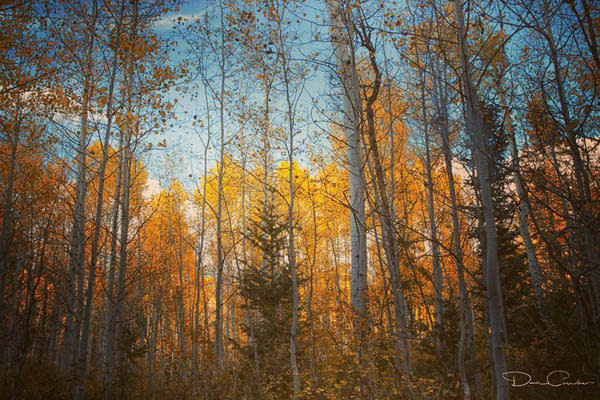 6 Scenic Drives to See Fall Colors | Explore Utah Valley