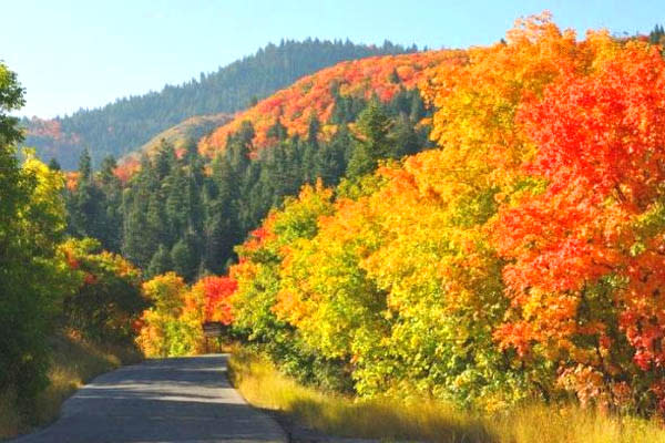 6 Scenic Drives to See Fall Colors | Explore Utah Valley