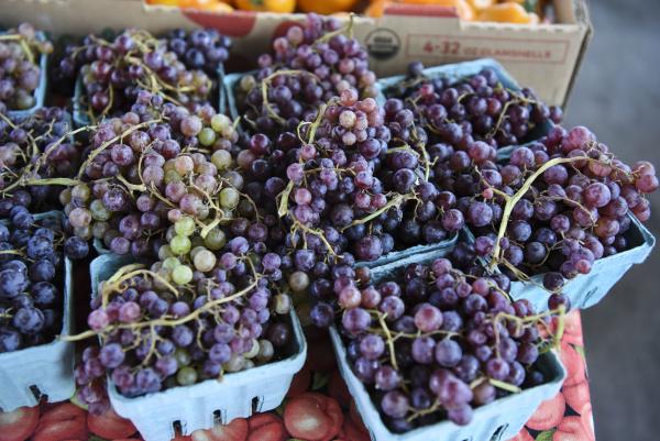 It's Peak Harvest Season. These Are The Best Farmers' Markets in the State.