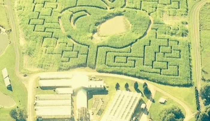 Samascott's Garden Market | Kinderhook, NY 12106