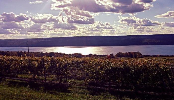 Atwater Estate Vineyards | Hector, NY 14841