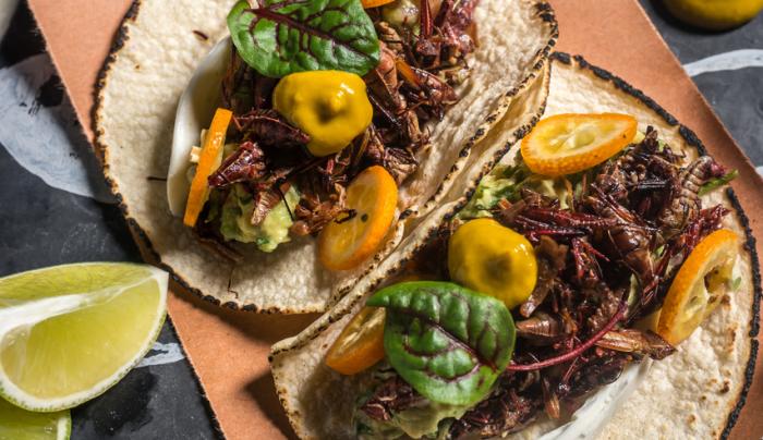 Black Ant | New York, NY 10003