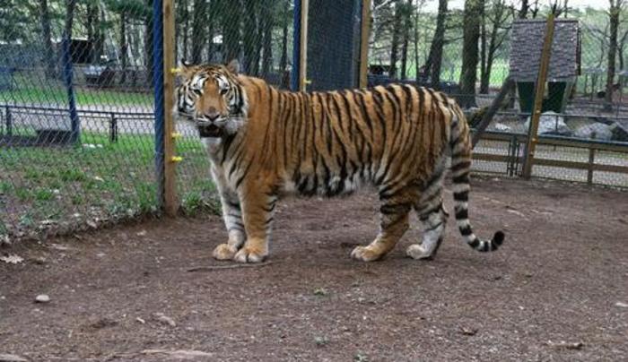 Bailiwick Ranch & Animal Park | Catskill, NY 12414