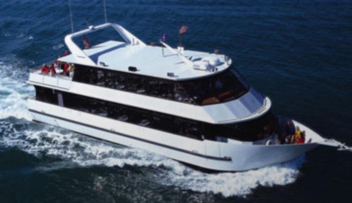 Captain Lou Fleet & Sapphire Cruises | Freeport, NY 11520