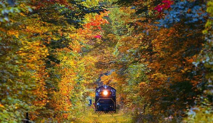 Catskill Mountain Railroad | Kingston, NY 12401