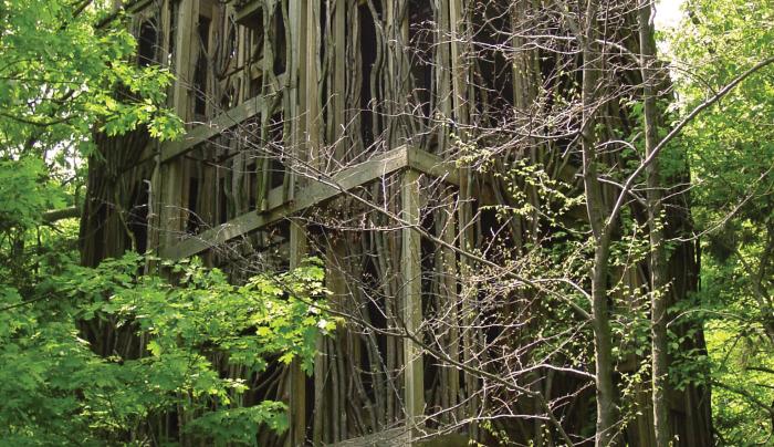 Cayuga Nature Center | Ithaca, NY 14850