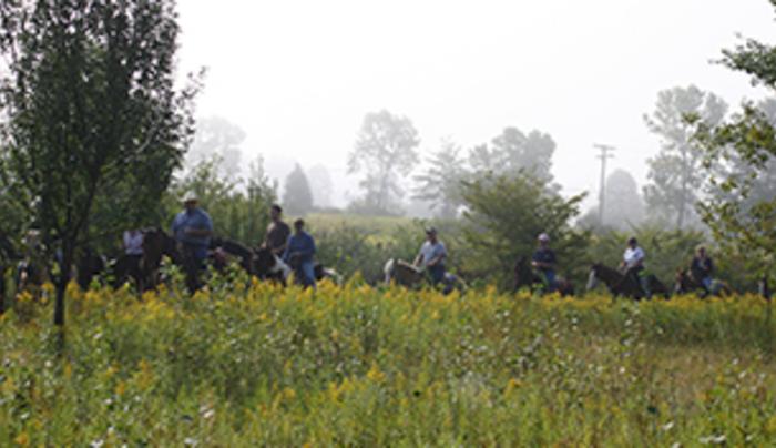 Crosspatch Horse Ranch, The | Salamanca, NY 14779