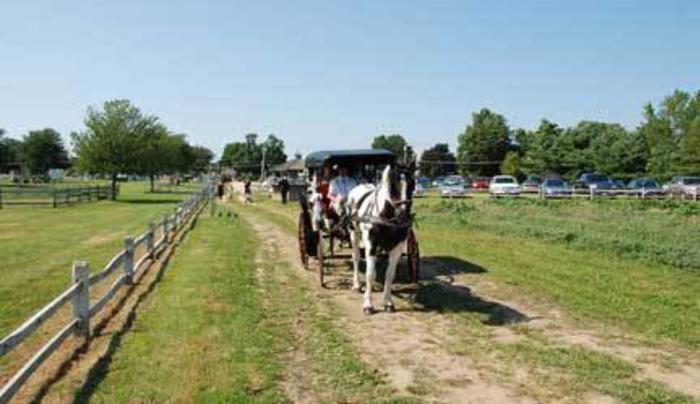 Harbes Family Farm & Vineyard | Mattituck, NY 11952