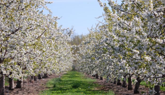 Samascott Orchards | Kinderhook, NY 12106