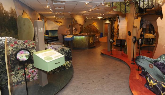 Iroquois National Wildlife Refuge | Basom, NY 14013