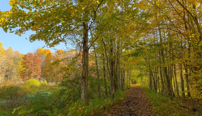 Lime Hollow Center For Environment & Culture | Cortland, NY 13045