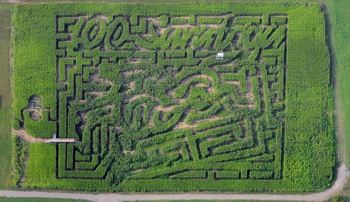 Ellms Family Farm | Ballston Spa, NY 12020