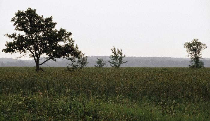 Montezuma National Wildlife Refuge | Montezuma, NY 13117