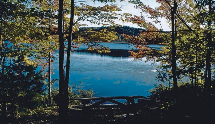 Moss Lake Preserve | Houghton, NY 14744