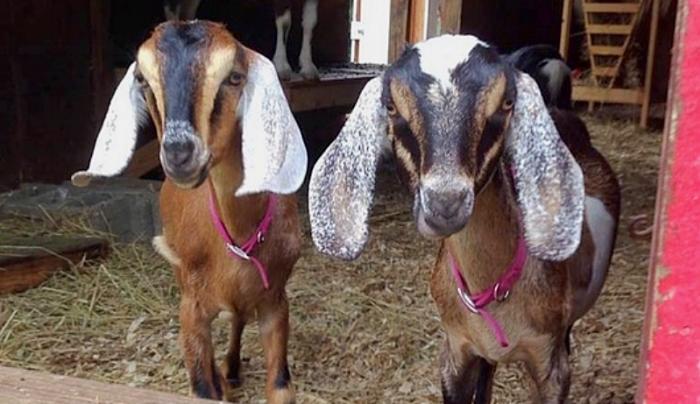 Museum Village | Monroe, NY 10950