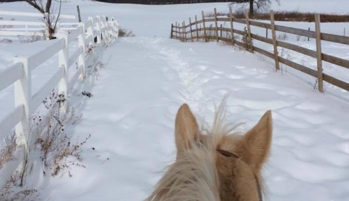 Painted Bar Stables | Burdett, NY 14818