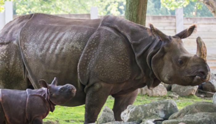 Buffalo Zoo | Buffalo, NY 14214