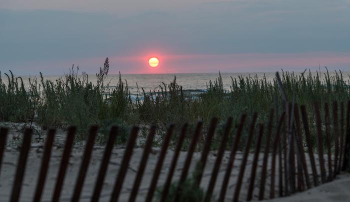 Southwick Beach State Park | Henderson, NY 13650