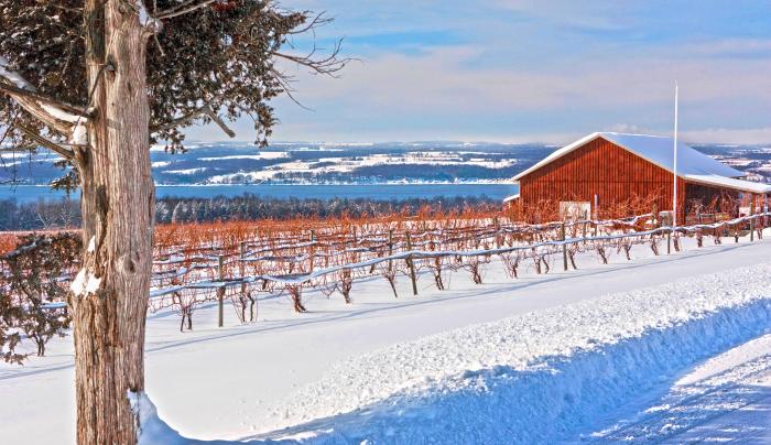 Long Point Winery | Aurora, NY 13026