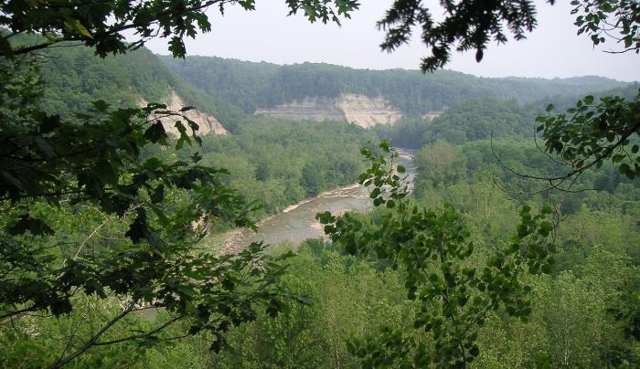 Zoar Valley | Gowanda, NY 14070